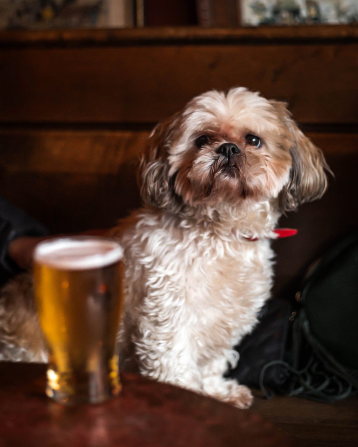 Home - The White Hart